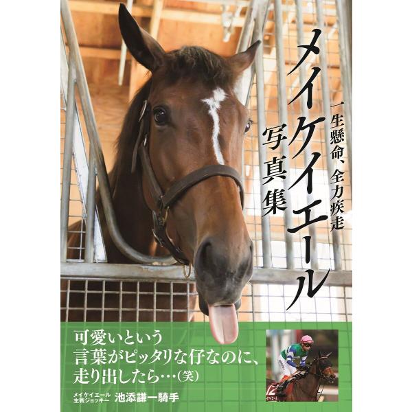 ※商品画像はイメージや仮デザインが含まれている場合があります。帯の有無など実際と異なる場合があります。出版社:ガイドワークス発売日:2022年09月キーワード:一生懸命、全力疾走メイケイエール写真集 いつしようけんめいぜんりよくしつそうめい...