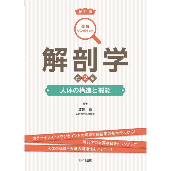 ※商品画像はイメージや仮デザインが含まれている場合があります。帯の有無など実際と異なる場合があります。編著:渡辺皓出版社:サイオ出版発売日:2023年02月シリーズ名等:図解ワンポイントキーワード:解剖学人体の構造と機能渡辺皓 かいぼうがく...