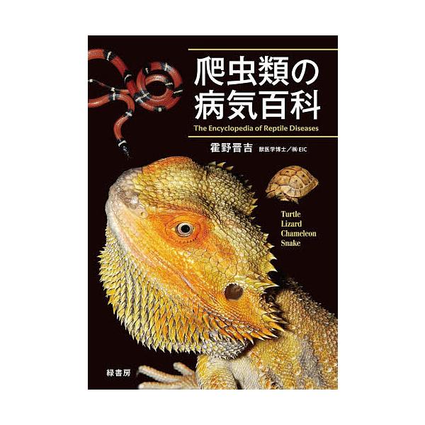 ※商品画像はイメージや仮デザインが含まれている場合があります。帯の有無など実際と異なる場合があります。著:霍野晋吉出版社:緑書房発売日:2025年12月キーワード:爬虫類の病気百科霍野晋吉 はちゆうるいのびようきひやつか ハチユウルイノビヨ...