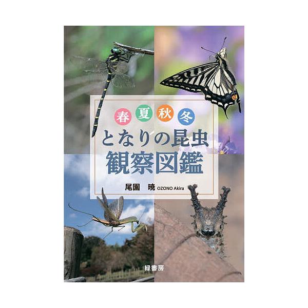 ※商品画像はイメージや仮デザインが含まれている場合があります。帯の有無など実際と異なる場合があります。著:尾園暁出版社:緑書房発売日:2026年10月キーワード:春夏秋冬となりの昆虫観察図鑑尾園暁 しゆんかしゆうとうとなりのこんちゆうかんさ...