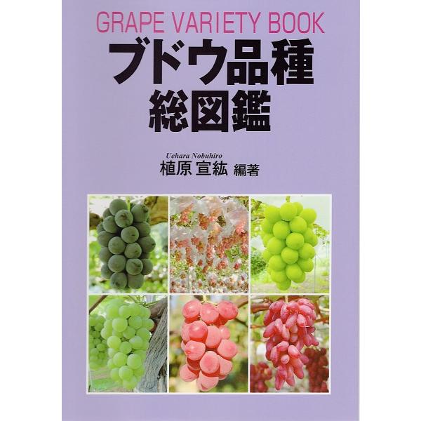 ※商品画像はイメージや仮デザインが含まれている場合があります。帯の有無など実際と異なる場合があります。編著:植原宣紘出版社:創森社発売日:2018年06月キーワード:ブドウ品種総図鑑植原宣紘 ぶどうひんしゆそうずかん ブドウヒンシユソウズカ...