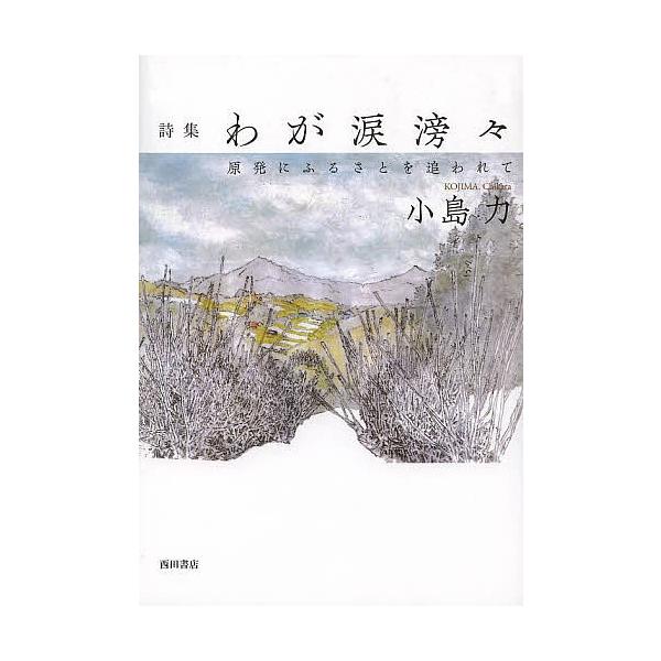 著:小島力出版社:西田書店発売日:2013年05月キーワード:わが涙滂々原発にふるさとを追われて詩集小島力 わがなみだぼうぼうげんぱつにふるさとお ワガナミダボウボウゲンパツニフルサトオ こじま ちから コジマ チカラ