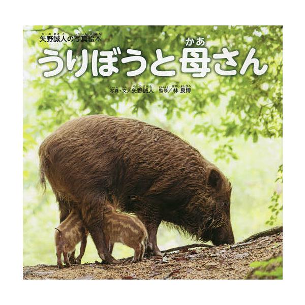 ※商品画像はイメージや仮デザインが含まれている場合があります。帯の有無など実際と異なる場合があります。写真:矢野誠人　監修:・文林良博出版社:大空出版発売日:2020年12月キーワード:うりぼうと母さん矢野誠人の写真絵本矢野誠人・文林良博 ...
