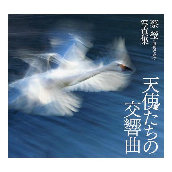 ※商品画像はイメージや仮デザインが含まれている場合があります。帯の有無など実際と異なる場合があります。著:蔡瑩出版社:日本写真企画発売日:2014年03月キーワード:天使たちの交響曲蔡瑩〈渡辺幸江〉写真集蔡瑩 てんしたちのこうきようきよくさ...