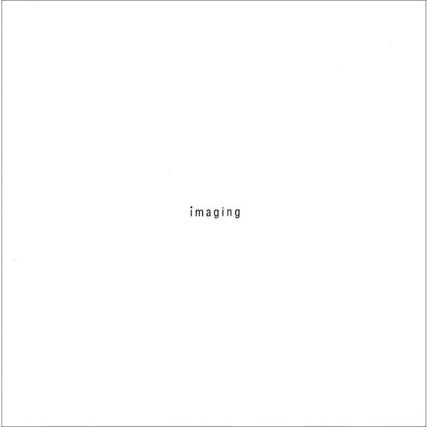 ※商品画像はイメージや仮デザインが含まれている場合があります。帯の有無など実際と異なる場合があります。出版社:８８８ブックス発売日:2025年11月キーワード:イメージ表現の記録 いめーじひようげんのきろく イメージヒヨウゲンノキロク