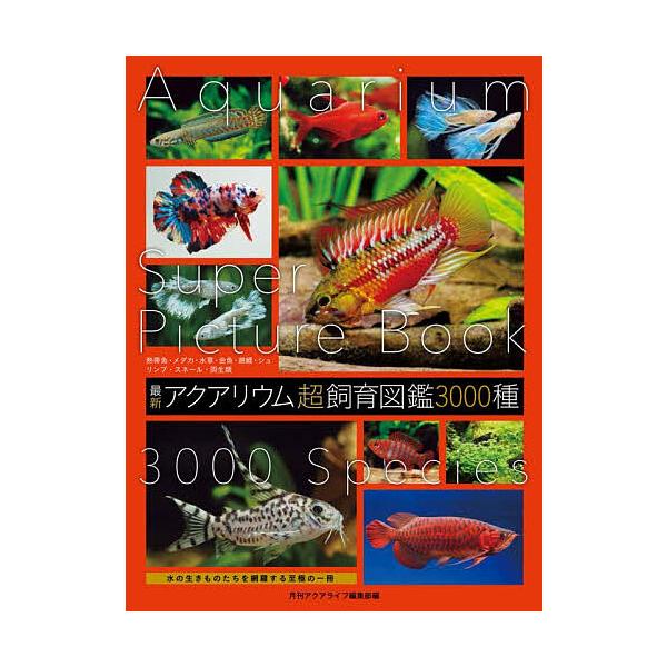 ※商品画像はイメージや仮デザインが含まれている場合があります。帯の有無など実際と異なる場合があります。編:月刊アクアライフ編集部出版社:エムピージェー発売日:2026年04月キーワード:最新アクアリウム超飼育図鑑３０００種月刊アクアライフ編...