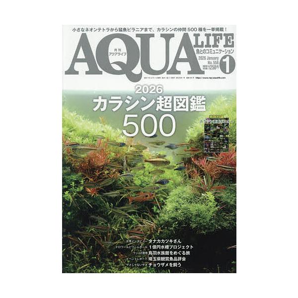 【発売日：2025年12月11日】※商品画像はイメージや仮デザインが含まれている場合があります。帯の有無など実際と異なる場合があります。出版社:エムピージェー発売日:2025年12月11日雑誌版型:A4キーワード:月刊アクアライフ２０２６年...