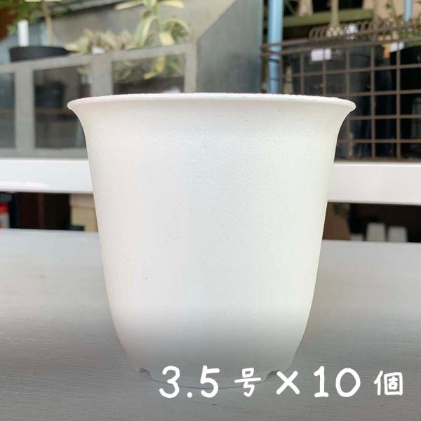 オシャレで使いやすい！当店人気のプラスチック鉢にホワイトが加わりました♪この白いプラ鉢ですが、黒とどう違うのかと言いますと、白い鉢は黒い鉢と比べ太陽の光を吸収しにくく、反射しやすいという特徴が有ります。その為、黒鉢内の温度の上昇が抑えられま...