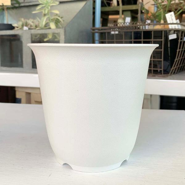 オシャレで使いやすい！当店人気のプラスチック鉢にホワイトが加わりました♪この白いプラ鉢ですが、黒とどう違うのかと言いますと、白い鉢は黒い鉢と比べ太陽の光を吸収しにくく、反射しやすいという特徴が有ります。その為、黒鉢内の温度の上昇が抑えられま...