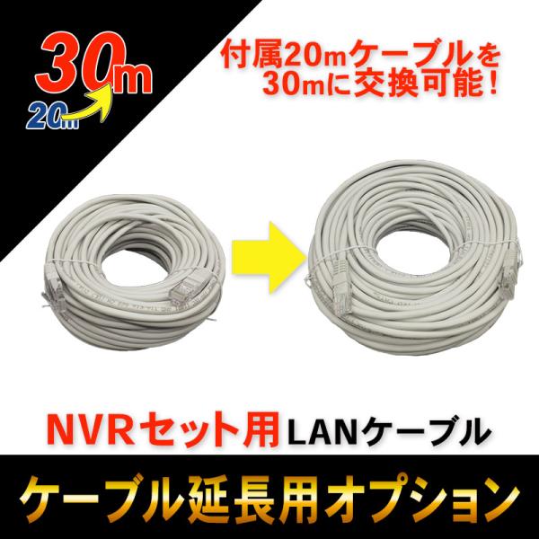セットオプション CAT5E 4P UTP 屋内パッチコードケーブル LANケーブル延長 30m