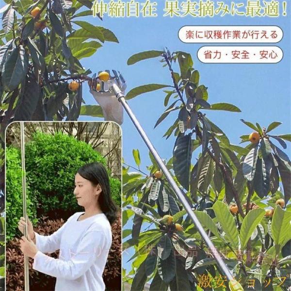 リンゴ、アボカド、オレンジ、プラム、ネクタリン、桃、マンゴー、パパイヤ、梨、レモン、ライム、キウイ、グレープフルーツ、ザクロ、イチジク、アプリコット、柿など！   ピッキング口には複数の凹面の滑らかな歯があります。また、果物のピッカーは耐久...