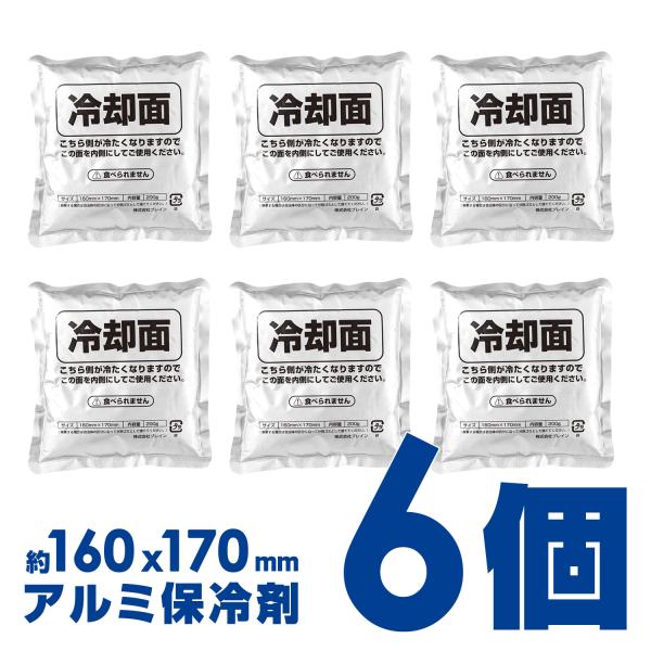 【お届けについて】本商品は送料無料ですが、北海道・沖縄へのお届けにつきましては別途送料が発生します。<br><br>【商品仕様】<br>セット内容：アルミ保冷剤×6個<br>サイズ：約160×...