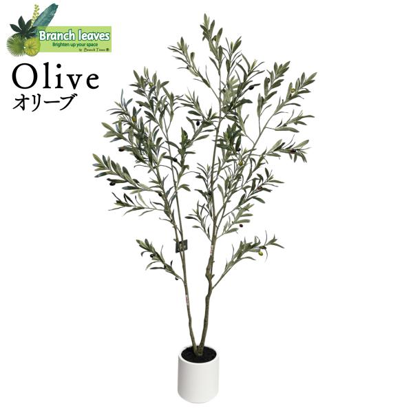 BranchTreesのフェイクグリーンシリーズ 『Branch leaves』　人工観葉植物Olive　オリーブ 高さ160cm 横幅80cm　実付き　本物のようなリアルな質感フェイクグリーンなので、お手入れ簡単！定期的にホコリを取る程度...