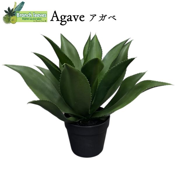 BranchTreesのフェイクグリーンシリーズ 『Branch leaves』　人工観葉植物Agave　アガベ　高さ50cm 横幅60cm 本物のようなリアルな質感フェイクグリーンなので、お手入れ簡単！定期的にホコリを取る程度でOK！水や...