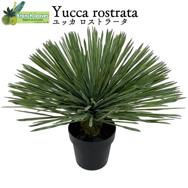 Branch leaves フェイクグリーン　人工観葉植物Yucca ユッカ ロストラータ高さ58cm 横幅65cm 本物のようなリアルな質感フェイクグリーンなので、お手入れ簡単！定期的にホコリを取る程度でOK！水やりや害虫の心配もありませ...