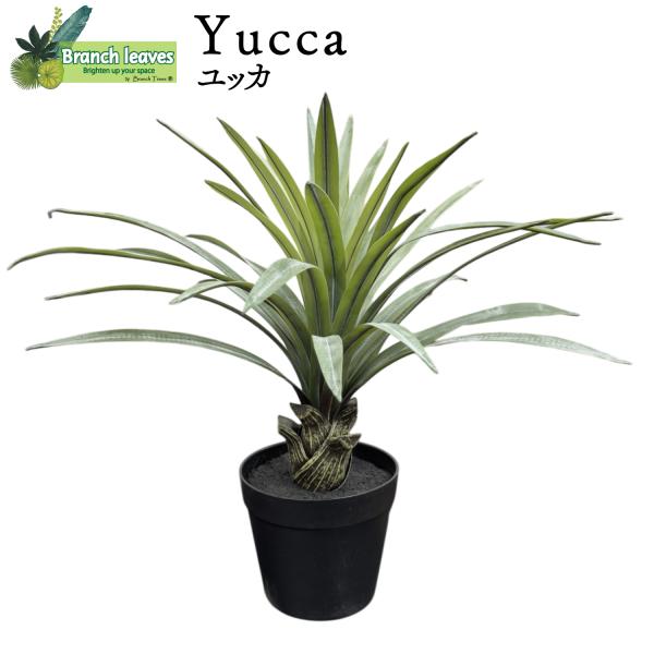 Branch Treesのフェイクグリーンシリーズ　『Branch leaves』　人工観葉植物Yucca ユッカ 高さ43cm 横幅50m 本物のようなリアルな質感フェイクグリーンなので、お手入れ簡単！定期的にホコリを取る程度でOK！水や...