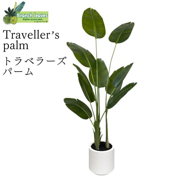 BranchTreesのフェイクグリーンシリーズ 『Branch leaves』　人工観葉植物トラベラーズパーム高さ180cm　横幅70cm 本物のようなリアルな質感フェイクグリーンなので、お手入れ簡単！定期的にホコリを取る程度でOK！水や...