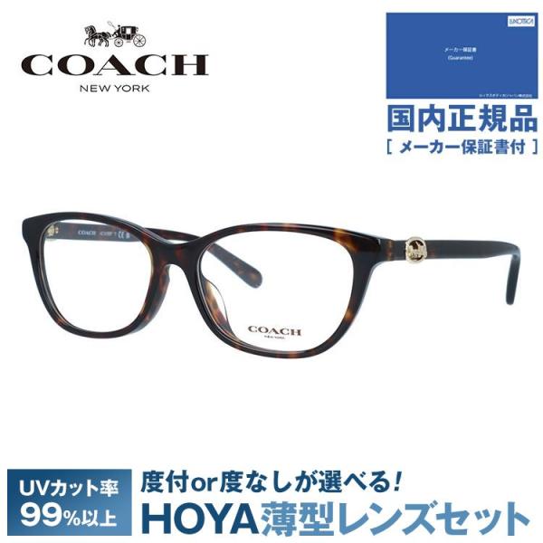 brand-sunglasshouse_coac01-00114
