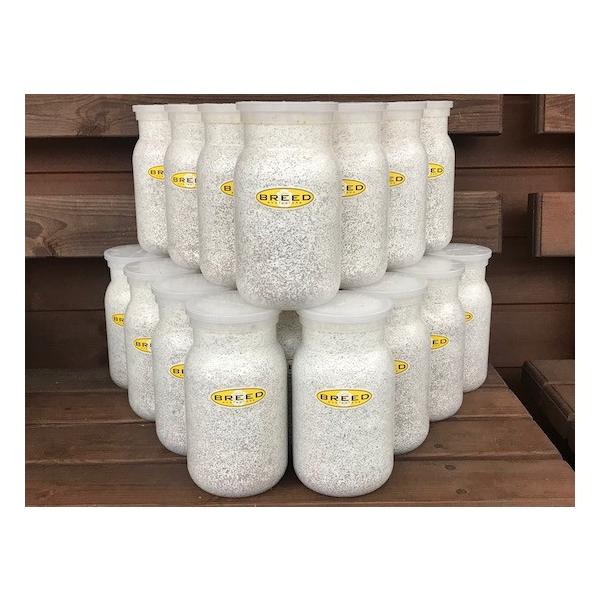 【発売日：2020年03月13日】長年さまざまなメーカーの菌糸ビン製造・販売に携わり、幾多の実証により解明された、オオクワガタやヒラタクワガタなどの、クワガタ幼虫飼育用菌糸ビンに必要で最適なファクター。それをもとに菌糸ビンに使用するマテリア...