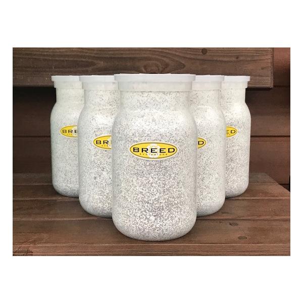 【発売日：2020年03月13日】長年さまざまなメーカーの菌糸ビン製造・販売に携わり、幾多の実証により解明された、オオクワガタやヒラタクワガタなどの、クワガタ幼虫飼育用菌糸ビンに必要で最適なファクター。それをもとに菌糸ビンに使用するマテリア...