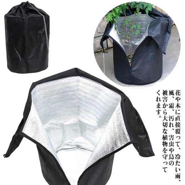 45*55cm※サイズ表の実寸法は商品によって1-3cm程度の誤差がある場合がございます。