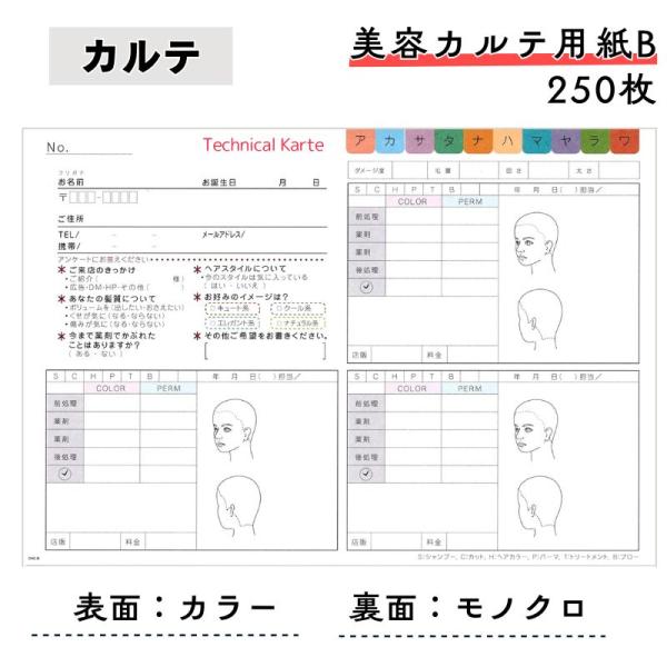【キャスト 美容カルテ用紙B テクニカルカルテ 250枚セット】[Technical KARTE]表面はテクニカル、裏面は来店履歴など記入できます。保管しやすい厚紙タイプ。●250枚/厚紙タイプ●表面：カラー、裏面：モノクロ●サイズ：157...
