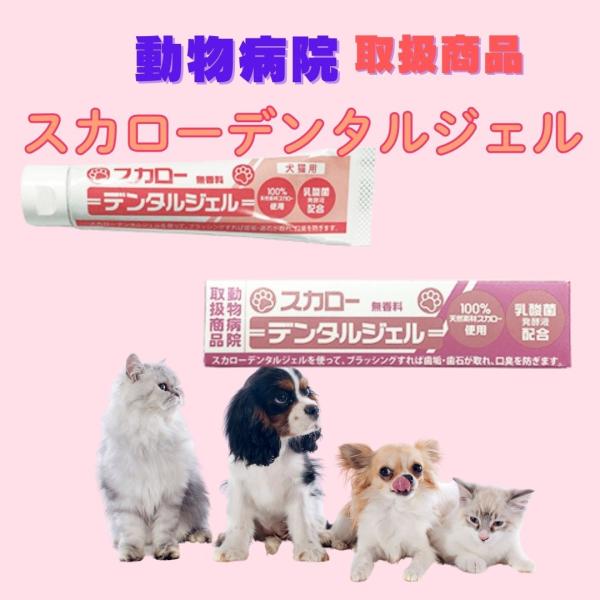 動物病院取扱商品確かな効果が見込める商品であり、理解ある先生方より必要なペットオーナー様へお届け頂ける様にスカローデンタルジェルは主に動物病院取扱いでの販売になります。歯垢、歯石でお悩みの方歯石除去の手術をされたアフターケアに歯垢、歯石を付...