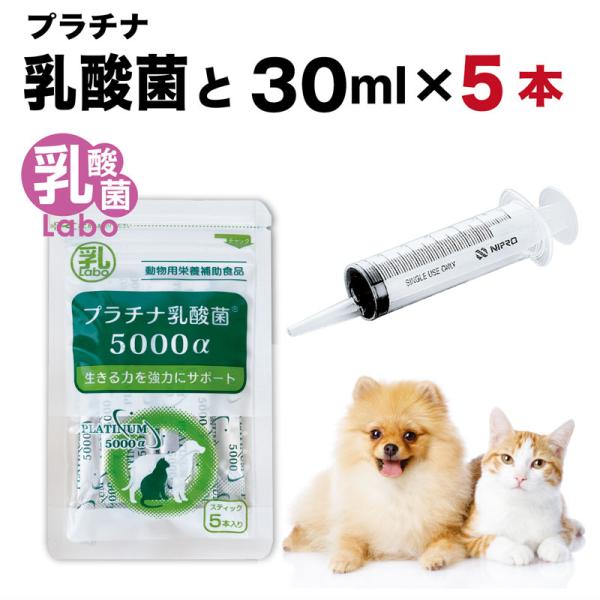【ワン ニャン 健康応援セット】愛犬愛猫の介護、療養中、ケガ、投薬などの時期は元気がない、食欲がない、運動量が減るなど健康状態が気になります。プラチナ乳酸菌を一緒に摂ることで健康をサポートします。■セット内容・二プロ シリンジ30ml × ...