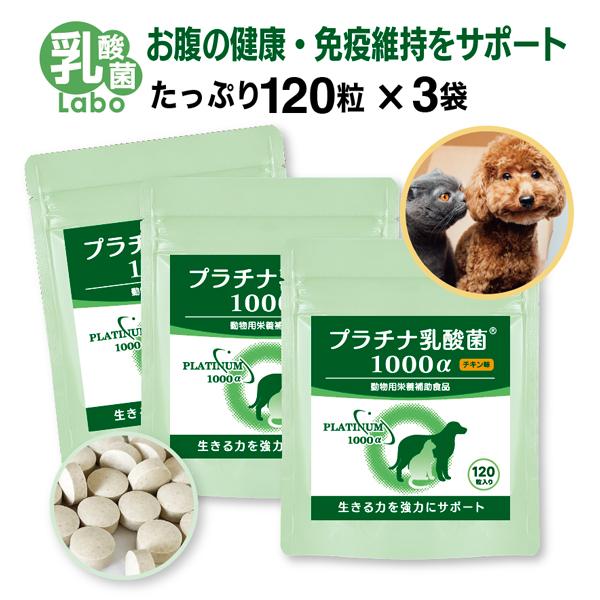 NEW! プラチナ乳酸菌1000α (粒)タイプです。【プラチナ乳酸菌1000αの特徴】★プラチナ乳酸菌1000αは特許製法でナノ化された体内吸収率を高めた加熱殺菌乳酸菌です。★１粒で1000億個以上の菌数を含有しており、少量で健康的に過ご...