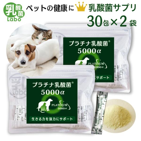 【商品仕様】商品名：プラチナ乳酸菌5000α内容量：30g （1包あたり1g）形状：粉末（細粒・顆粒）製造国：日本（国産）対象：犬・猫・その他小動物（全年齢、シニア・高齢期対応）原材料名：難消化性デキストリン(水溶性食物繊維(国内製造))、...