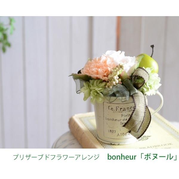 ●こんな時こんな場所に母の日・お誕生日祝い・ご結婚祝い・ご出産祝い・新築祝い・入学卒業・進級・還暦・お見舞い・普段使いのプレゼントなど、玄関・リビング・オフィスのインテリアにも。●出来上がりサイズ：横幅約14センチ、奥行き約12センチ　高さ...