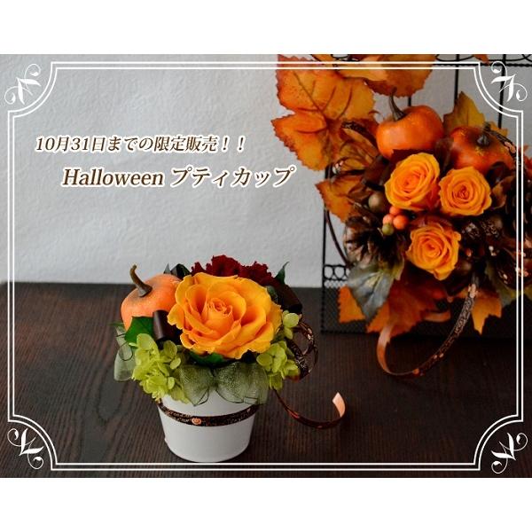 【 用途・商品詳細・お取り扱いについて 】こんな時こんな場所にお誕生日祝い・ご結婚祝い・ご出産祝い・新築祝い・入学卒業・進級・還暦・お見舞い・普段使いのプレゼントなど玄関・リビング・オフィスのインテリアにも。●出来上がりサイズ：横約11セン...