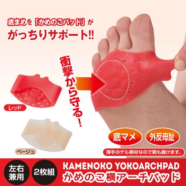 ※ベージュは終売です。底マメを「かめのこパッド」ががっちりサポート！横アーチが衰えると歩行の衝撃によるマメや外反母趾等、足のお悩みの原因に。かめのこパッドで横アーチをサポートする事で、衝撃を吸収。足指もパッと広がり、快適歩行をサポート。亀の...
