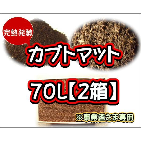 ★ヤマト運輸ご利用のお客様は、６０Ｌシリーズをご利用くださいませ。●発送方法：西濃運輸（事業者さま）※こちらの商品は企画サイズのため他商品との同梱はできません。【適用種類】 カブトムシ全種 成虫：◎　幼虫：◎　産卵：◎ 【商品説明】 広葉樹...