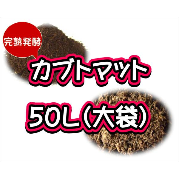 【適用種類】 カブトムシ全種 成虫：◎　幼虫：◎　産卵：◎【商品説明】 広葉樹１００％の菌床を４〜６ヶ月間かけて、完熟に発酵させたマットです。 異物等の混入を防ぐ為、７ｍｍメッシュの振るい機にかけて出荷しています。 国産カブトやヘラクレス等...