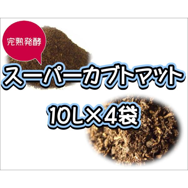 ※サイトの仕様変更に伴い商品名表記が変わりましたが今までと内容は変わりません。【適用種類】 カブトムシ全種 （国産・外国産カブトムシの幼虫飼育に特に適しています） 成虫：◎　幼虫：☆　産卵：◎ 【商品説明】 広葉樹１００％の菌床を４〜６ヶ月...