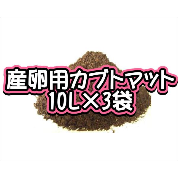 【適用種類】 カブトムシ全種 （国産・外国産カブトムシの幼虫飼育に特に適しています） 成虫：◎　幼虫：◎　産卵：☆ 【商品説明】 広葉樹１００％の菌床を４〜６ヶ月間かけて、完熟に発酵させたマットに微粒子に粉砕させたクヌギ等の朽木を混ぜ合わせ...