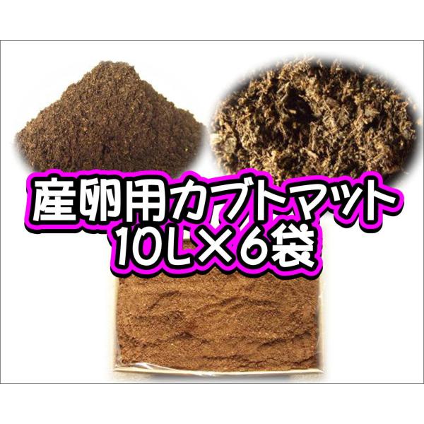 【適用種類】 カブトムシ全種 （国産・外国産カブトムシの幼虫飼育に特　に適しています） 成虫：◎　幼虫：◎　産卵：☆  【商品説明】 広葉樹１００％の菌床を４〜６ヶ月間かけ て、完熟に発酵させたマットに微粒子に粉 砕させたクヌギ等の朽木を混...