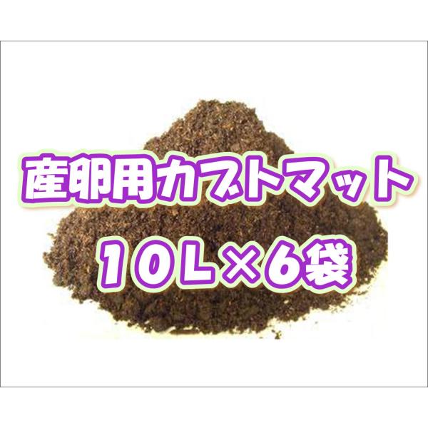 【商品名】産卵用カブトマット【適用種類】カブトムシ全種（国産・外国産カブトムシの産卵床に特に適しています）成虫：◎　幼虫：◎　産卵：☆【商品説明】広葉樹１００％の菌床を４〜６ヶ月間かけて、完熟に発酵させたマットに微粒子に粉砕させたクヌギ等の...