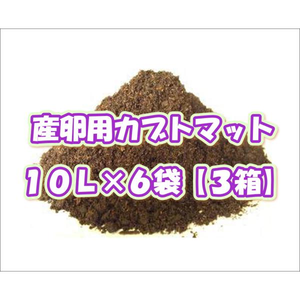 【商品名】産卵用カブトマット【適用種類】カブトムシ全種（国産・外国産カブトムシの産卵床に特に適しています）成虫：◎　幼虫：◎　産卵：☆【商品説明】広葉樹１００％の菌床を４〜６ヶ月間かけて、完熟に発酵させたマットに微粒子に粉砕させたクヌギ等の...