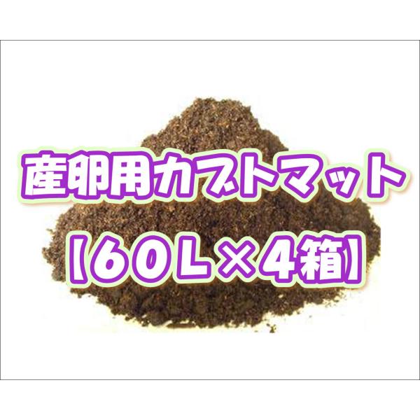 【商品名】産卵用カブトマット【適用種類】カブトムシ全種（国産・外国産カブトムシの産卵床に特に適しています）成虫：◎　幼虫：◎　産卵：☆【商品説明】広葉樹１００％の菌床を４〜６ヶ月間かけて、完熟に発酵させたマットに微粒子に粉砕させたクヌギ等の...