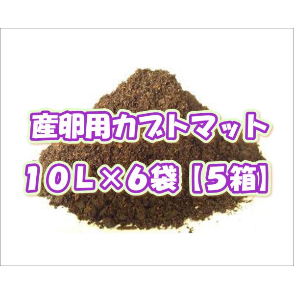 【商品名】産卵用カブトマット【適用種類】カブトムシ全種（国産・外国産カブトムシの産卵床に特に適しています）成虫：◎　幼虫：◎　産卵：☆【商品説明】広葉樹１００％の菌床を４〜６ヶ月間かけて、完熟に発酵させたマットに微粒子に粉砕させたクヌギ等の...