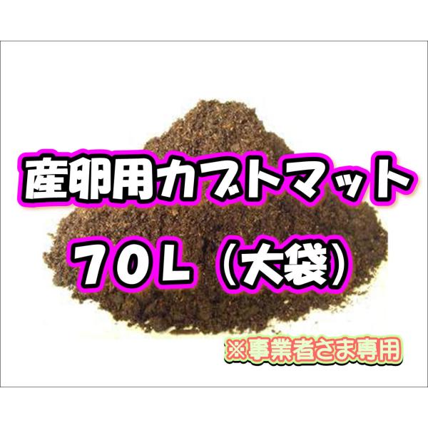 配送の重量上限が変更となり、こちらの商品は西濃運輸（事業さま専用）のみでの発送となりました。ヤマト運輸、ゆうパックをご利用のお客様は、６０Ｌシリーズをご利用くださいませ。★６０Ｌシリーズのリンクは詳細にあります☆●発送方法：西濃運輸※こちら...
