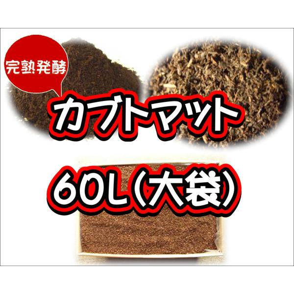 【適用種類】 カブトムシ全種 成虫：◎　幼虫：◎　産卵：◎【商品説明】 広葉樹１００％の菌床を４〜６ヶ月間かけて、完熟に発酵させたマットです。 異物等の混入を防ぐ為、７ｍｍメッシュの振るい機にかけて出荷しています。 国産カブトやヘラクレス等...