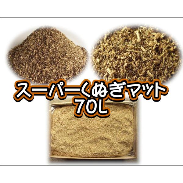 ●発送方法：クロネコヤマト、路線便 【適用種類】 クワガタムシ全種、国産カブトムシ 成虫：◎　幼虫：○　産卵：○  【商品説明】 ５〜７ミリに粉砕させたクヌギ等のマットに 広葉樹う１００％の完熟発酵マットを混ぜ 合わせた完熟クヌギマットです...