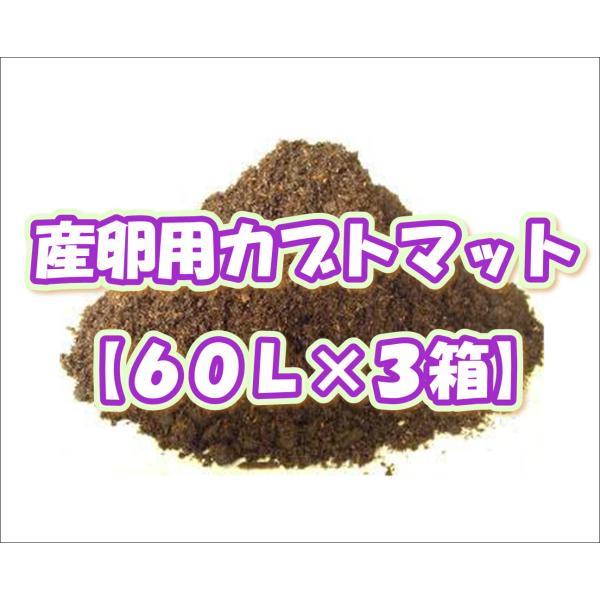 【商品名】産卵用カブトマット【適用種類】カブトムシ全種（国産・外国産カブトムシの産卵床に特に適しています）成虫：◎　幼虫：◎　産卵：☆【商品説明】広葉樹１００％の菌床を４〜６ヶ月間かけて、完熟に発酵させたマットに微粒子に粉砕させたクヌギ等の...