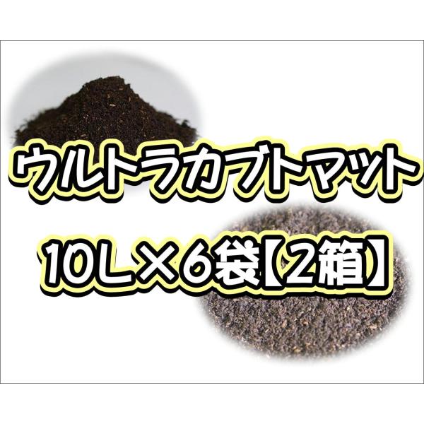 【商品名】ウルトラカブトマット【適用種類】カブトムシ全種（国産・外国産カブトムシの幼虫飼育に特に適しています）成虫：◎　幼虫：☆　産卵：◎【商品説明】完熟発酵のカブトマットに、添加発酵させた朽木(クヌギ・ナラ)を手間暇かけて、しっかりと混ぜ...