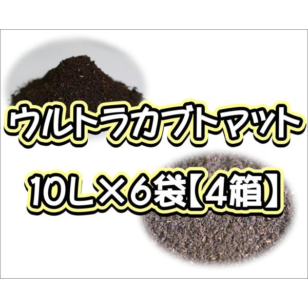 【商品名】ウルトラカブトマット【適用種類】カブトムシ全種（国産・外国産カブトムシの幼虫飼育に特に適しています）成虫：◎　幼虫：☆　産卵：◎【商品説明】完熟発酵のカブトマットに、添加発酵させた朽木(クヌギ・ナラ)を手間暇かけて、しっかりと混ぜ...