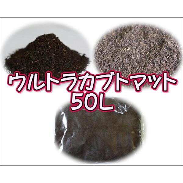 【適用種類】カブトムシ全種（国産・外国産カブトムシの幼虫飼育に特に適しています） 成虫：◎　幼虫：☆　産卵：◎ ※５０Ｌ大袋でお届します。 【商品説明】 完熟発酵のカブトマットに、添加発酵させた朽木(クヌギ・ナラ)を 手間暇かけて、しっかり...