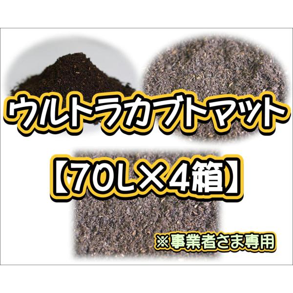 ★ヤマト運輸ご利用のお客様は、６０Ｌシリーズをご利用くださいませ。●発送方法：西濃運輸（事業者さま）※こちらの商品は企画サイズのため他商品との同梱はできません。【適用種類】カブトムシ全種（国産・外国産カブトムシの幼虫飼育に特に適しています）...